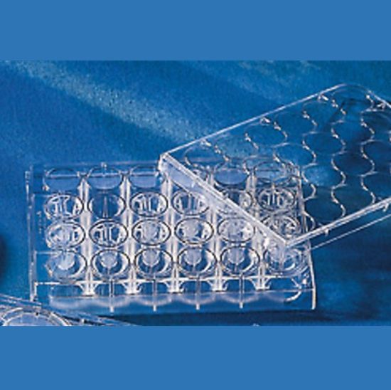 Inserto Transwell 24 mm – Corning - Omics Soluções para Laboratórios